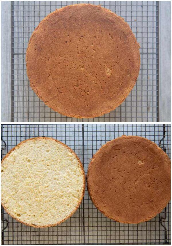 Sponge_Cake_5112-13 - RecipeTin Japan