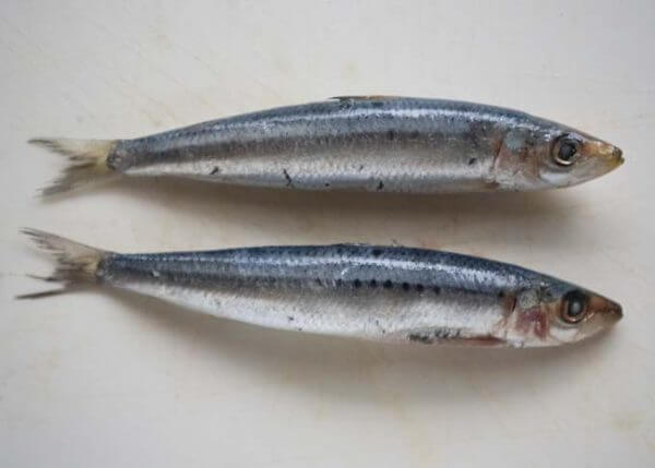 Simmered Sardines with Pickled Plum (Ume-ni) - RecipeTin Japan
