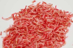 Sakura_ebi - RecipeTin Japan