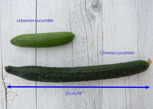 Soy Pickled Cucumber (Kyūri no Q-chan) - RecipeTin Japan