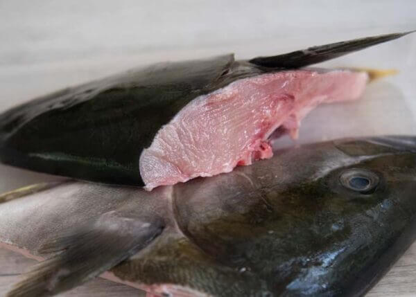 Grilled_Kingfish_Head_9093 - RecipeTin Japan